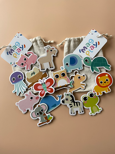 Animal Magnet Kit – MagPlay