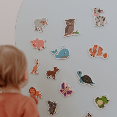 Shop Magnetic Wall Decals & Magnet Kits – MagPlay