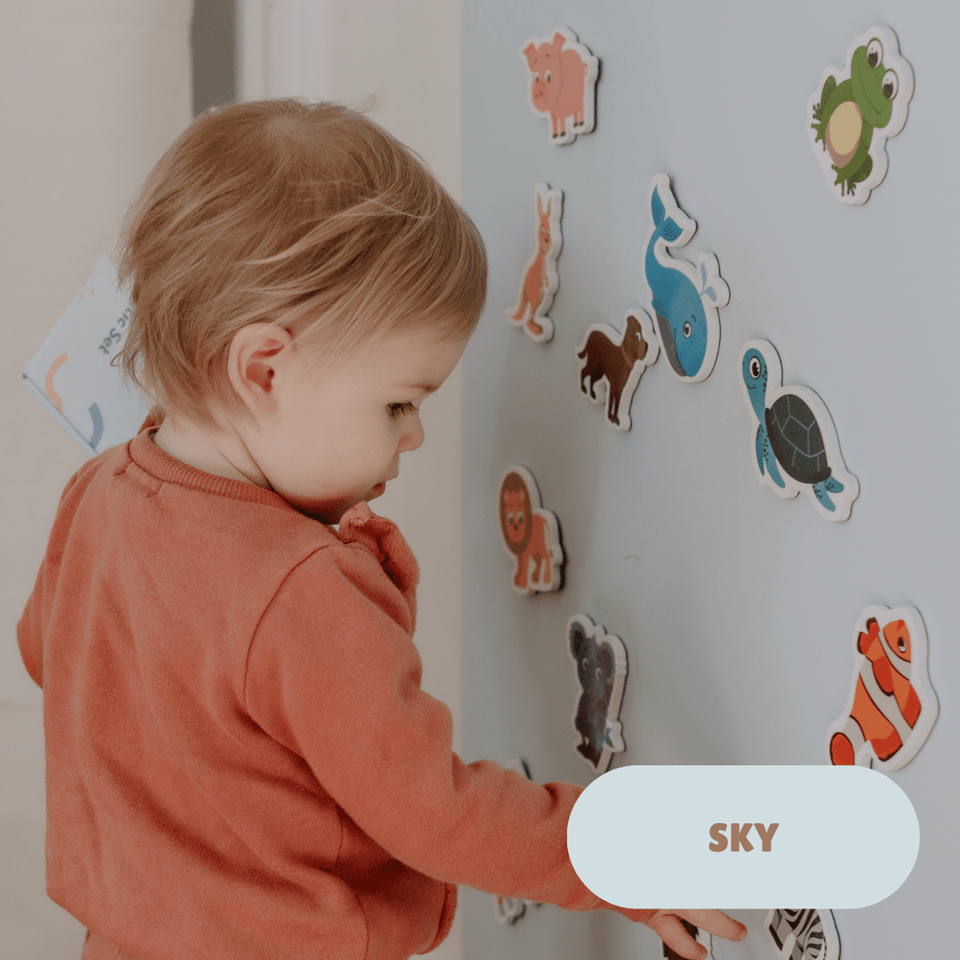 MagPlay – Magnetic Wall Decals & Creative Play